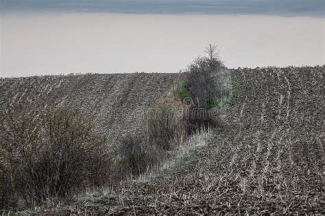 A Muddy Field With A Puddle In The Center Surrounded By Grass Stock Image Image Of Muddy Turf