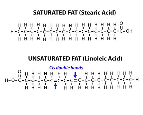 Saturated Fatty Acids Examples Chemistry At William Pfeffer Blog