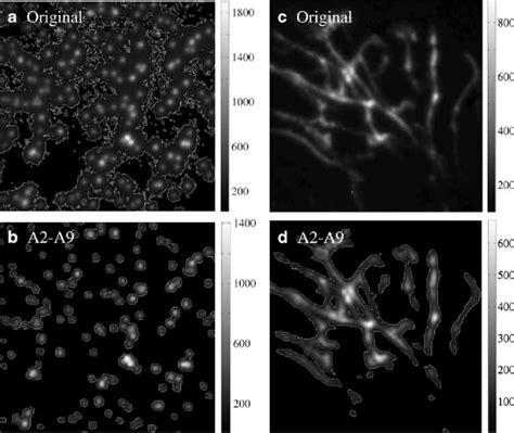 Background Subtraction Using Wavelet On The Fluorescent Beads Image A
