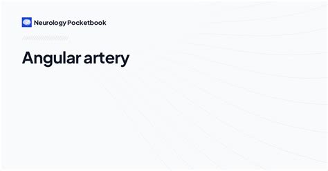 Angular Artery