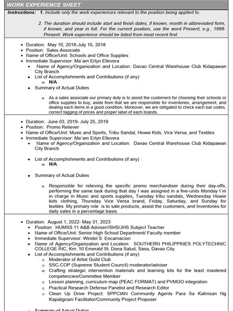 Work Experience Summary For Job Application Pdf Business