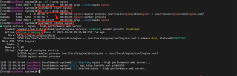 CentOS Nginx 设置开机自启动 龙凌云端 博客园