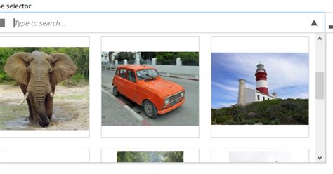 Imageselector Input Type Enonic Developer Portal Imageselector Input Type Enonic Developer Portal