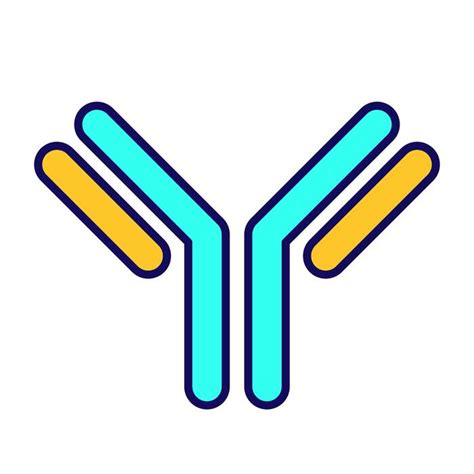 Antibody Vector Art Icons And Graphics For Free Download