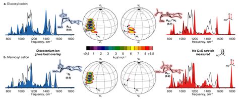 Conformational Energy Landscapes Cel And Subsequent Ir Ion Spectra Download Scientific