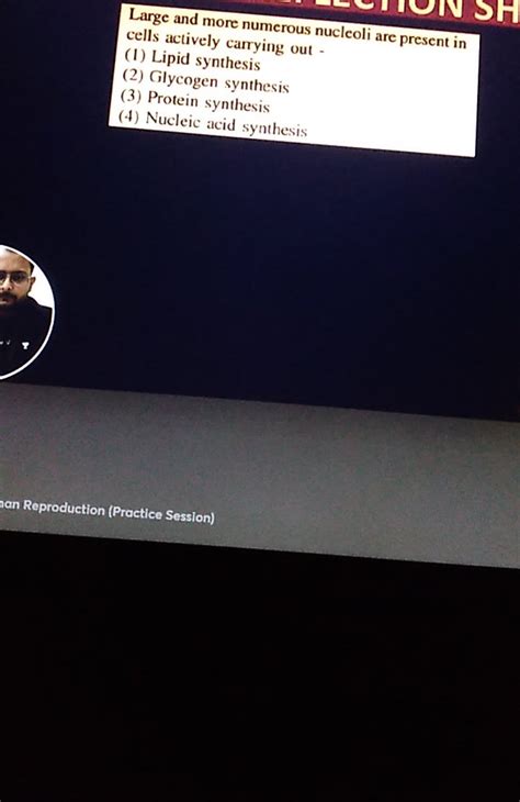 Large And More Numerous Nucleoli Are Present In Cells Actively Carrying O