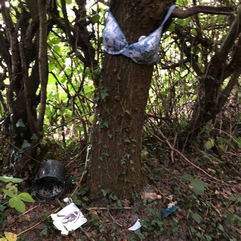 Underwear Hangs From Trees In Notorious Sex Spot Metro Newspaper Uk