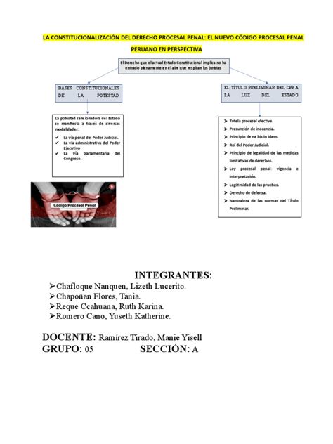 La Constitucionalización Del Derecho Procesal Penal Pdf