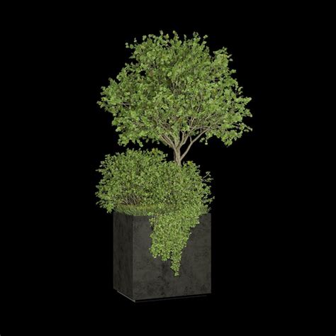 3d Tree Render Pictures Freepik