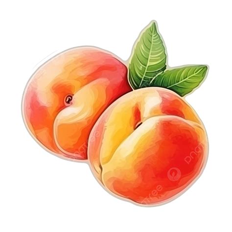 귀여운 복숭아 문구 스티커 유화 복숭아 과일 귀엽다 Png 일러스트 및 이미지 에 대한 무료 다운로드 Pngtree