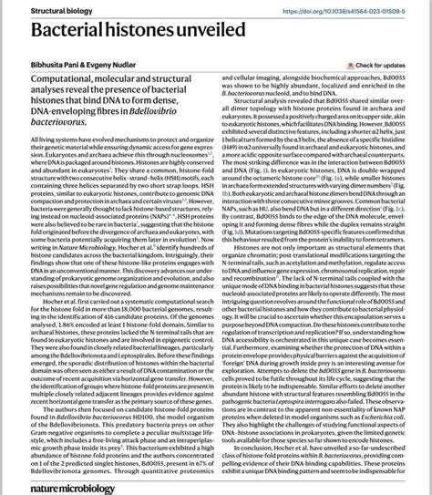 Bacterial Histones Form Dna Fibres In Bdellovibrio Bacteriovorus Hanaa Fayed Posted On The