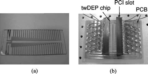 A Photograph Of Traveling Wave Dielectrophoretic Chip B Packaged Download Scientific