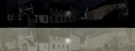 როგორია კატის თვალით დანახული მსოფლიო უნიკალური ფოტოები