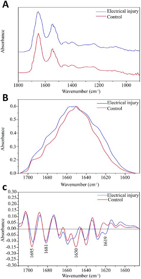 A Comparison Of Absorbance And Second Derivative Spectra Between