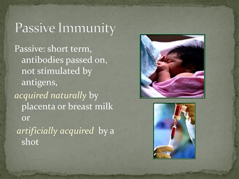 Immunity From Disease Ppt Download