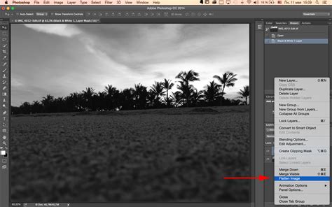 Как сделать фото в фотошопе черно белым Как сделать фото чёрно белым в Фотошопе