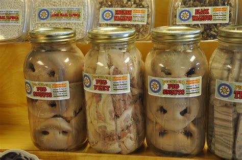 Pickled Pig Snouts