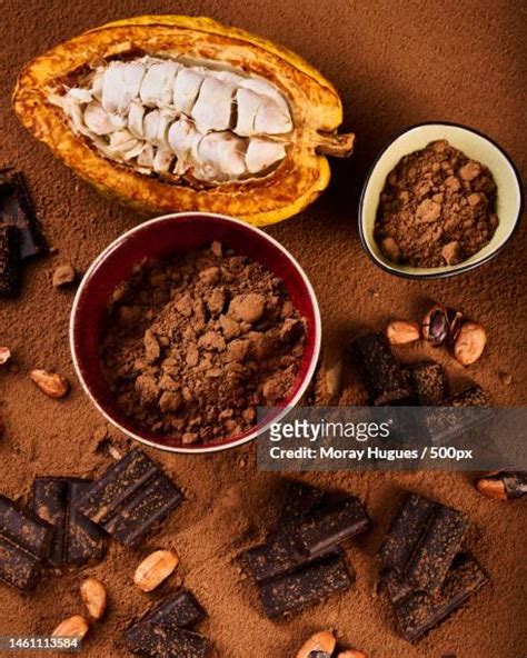 Detail Of Cocoa Fruit With Pieces Of Chocolate And Cocoa Powder On Raw Cocoa Beans Martinique