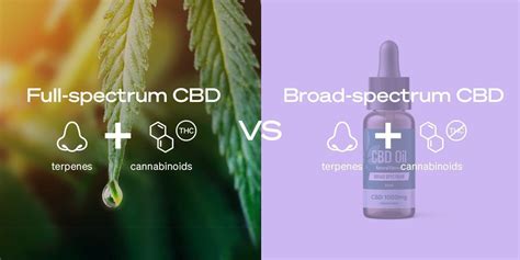 Full Spectrum CBD Vs Broad Spectrum CBD Whats The Difference