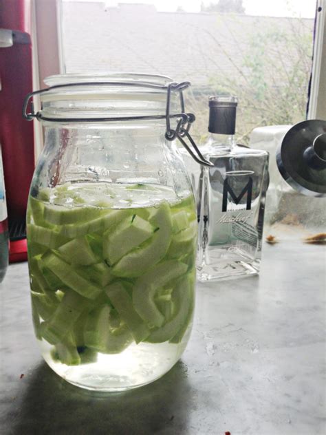 Cucumber 9 Fremont Mischief