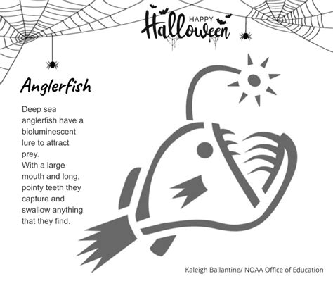 Seattle Seahawks Pumpkin Stencil