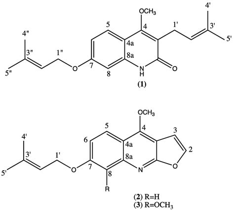 Alkaloid Compounds 1 3 Isolated From The Leaves Of M Moluccana