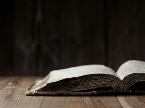 Adult Study On The Small Catechism Shepherd Of The Woods Lutheran Church