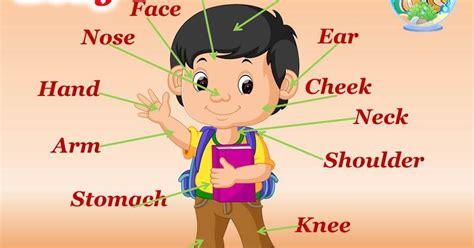 Презентація до уроку англійської мови 2 клас до підручника Карпюк О Д Частини тіла Parts Of