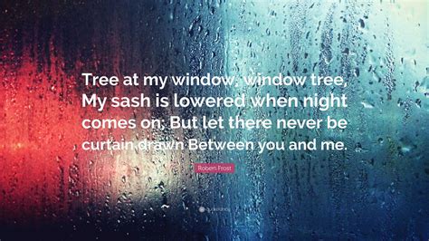 Robert Frost Quote Tree At My Window Window Tree My Sash Is Lowered When Night Comes On But