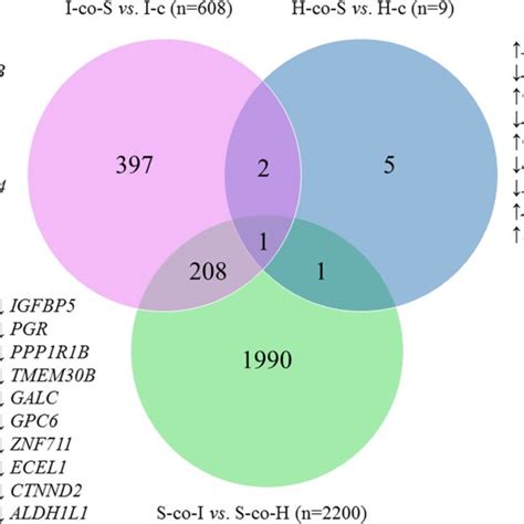 Venn Diagram Representing Differentially Expressed Genes Among The