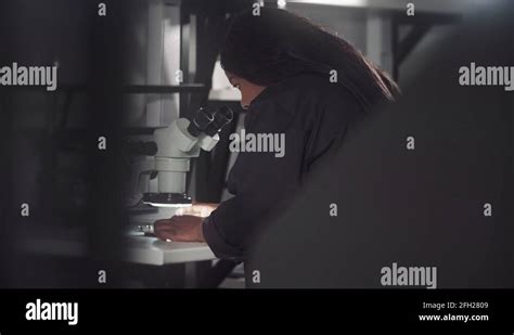 Female Scientist Looks Through Microscope Stock Videos And Footage Hd