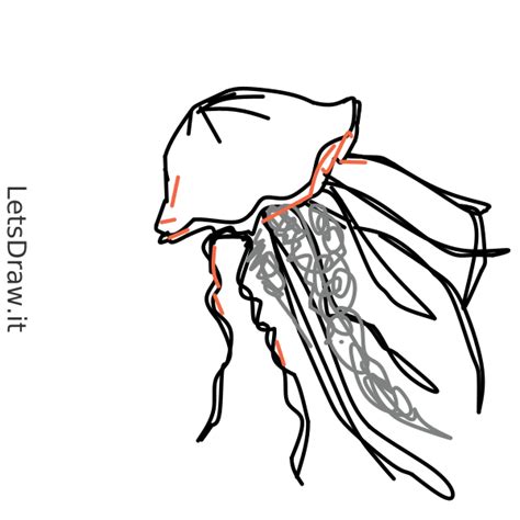 How To Draw Jellyfish Sixyoymo Png LetsDrawIt