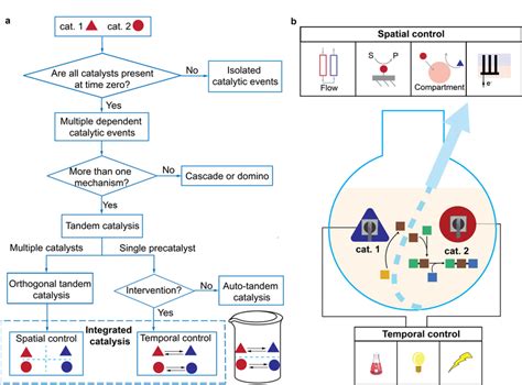 Concept Of Integrated Catalysis A A Flowchart Guide To Nomenclature
