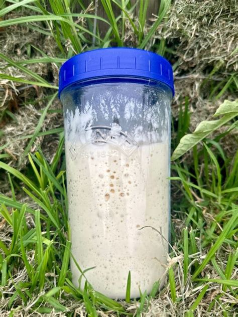 Understanding Sourdough Starter Ratios The Pantry Mama