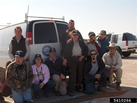 Pythons Genus Python