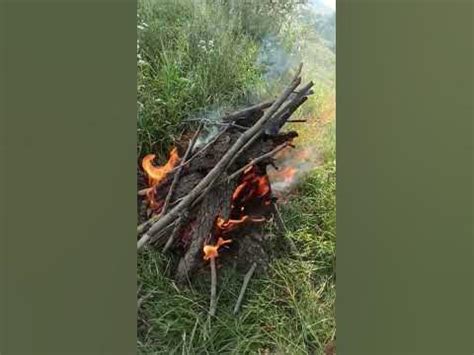 костер лес еда - YouTube