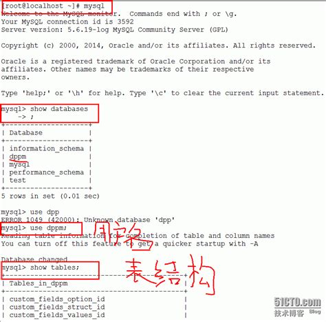 查看mysql服务状态 程序员大本营