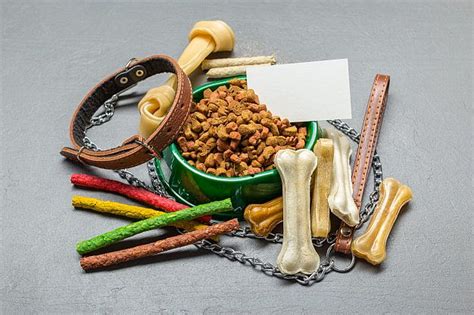 Totul despre mâncare câini Cum să ți hrănești câinele să fie sănătos