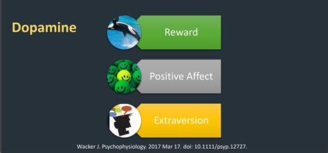 Dopamine How To Boost Your Drive And Motivation The 7 Systems Plan