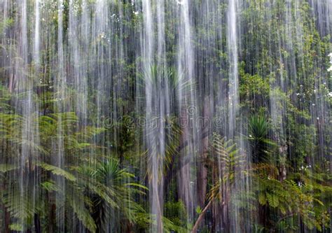 Chuva Tropical Na Selva Imagem De Stock Imagem De Horizontal 33082817