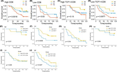 Prognostic Effect Of Tcf1 Cd8 T Cell And Tox Cd8 T Cell