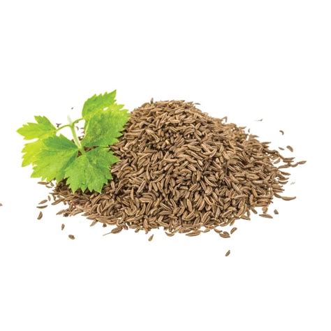 Caraway Alivitpharm