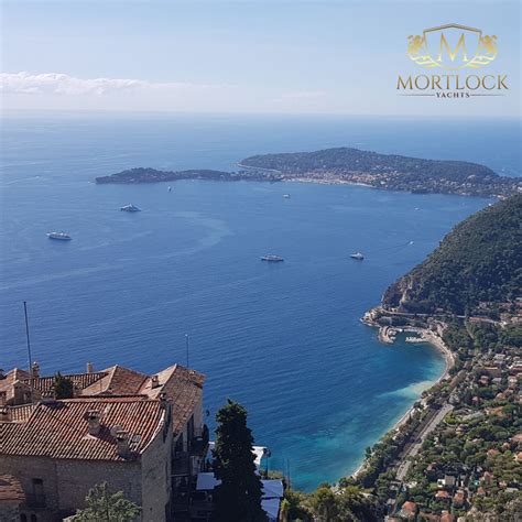 Tristan Mortlock Posted On Linkedin