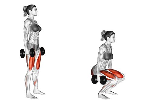 6 Best Dumbbell Squat Variations With Pictures Inspire Us