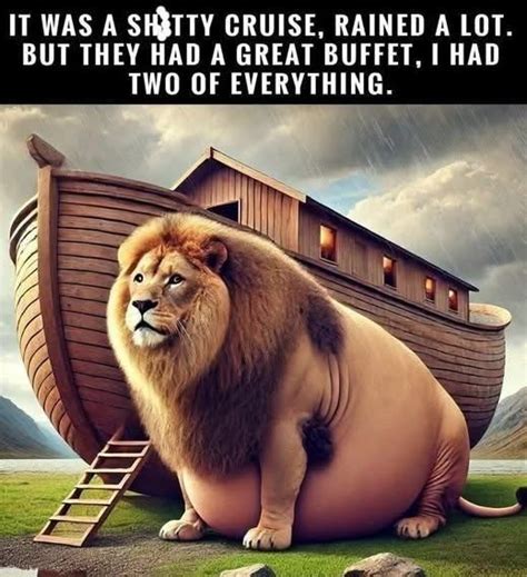 Noahs Boat With Lion Funny Noahs Boat Funny Noahs Boat Lion Joke