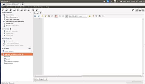 mysql how do i access data from a heroku application through the