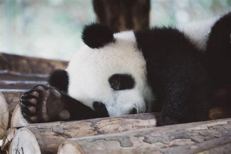 6个pandas新手容易犯的错误 知乎