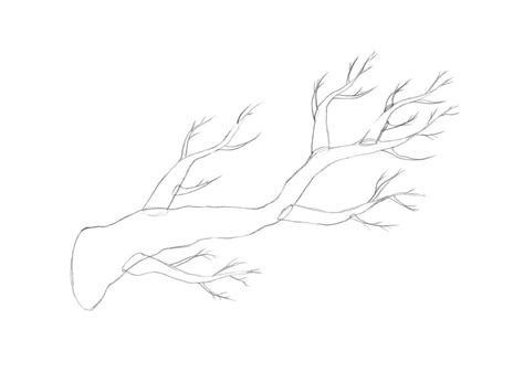 How To Draw A Tree