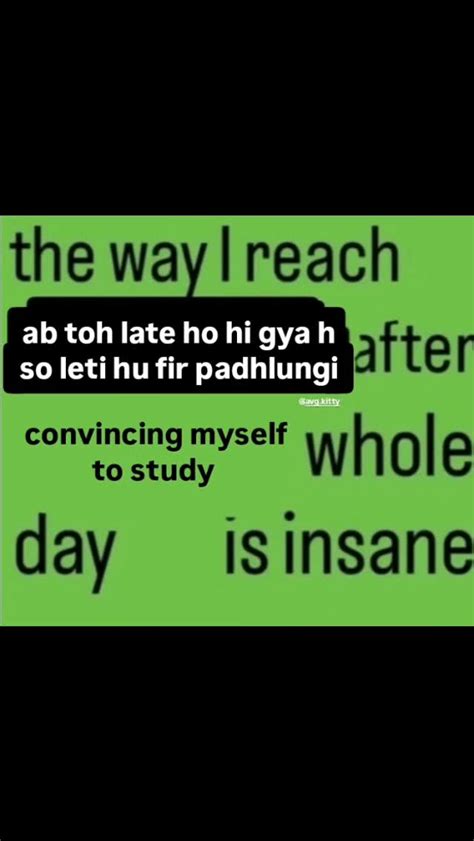 Avgkitty • Instagram Photos And Videos