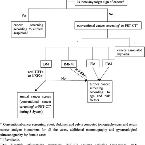 Suggested Algorithm For Cancer Screening In Adult Patients With New Download Scientific Diagram